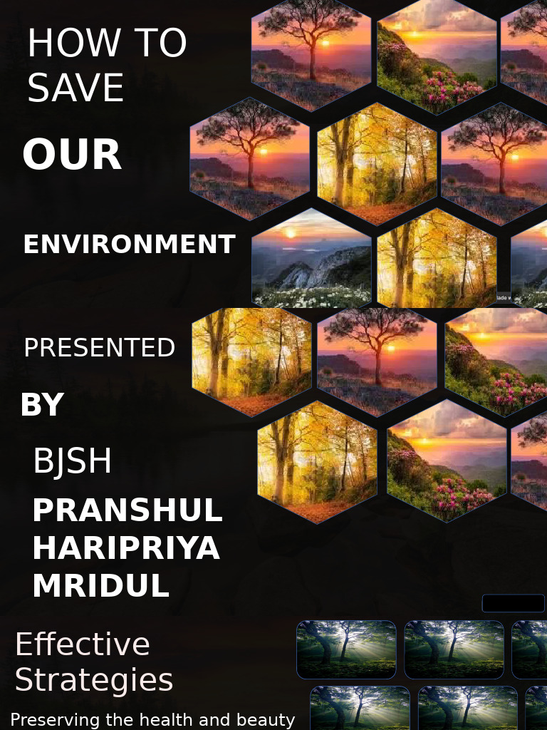 Effective Strategies for Environmental Sustainability | PDF | Efficient ...
