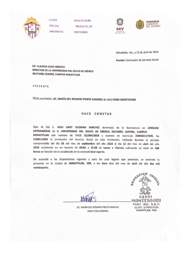 Conclusión Servicio Social | PDF