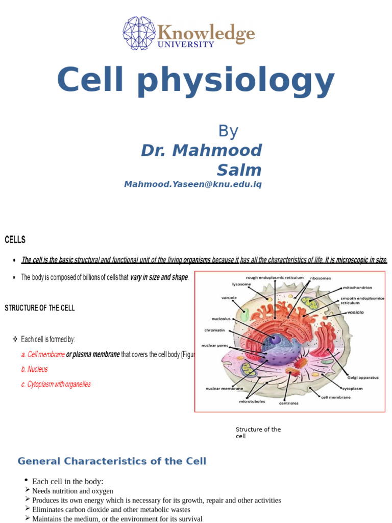 PPT622 66f93f2fb0a8c | PDF | Cell Membrane | Endoplasmic Reticulum