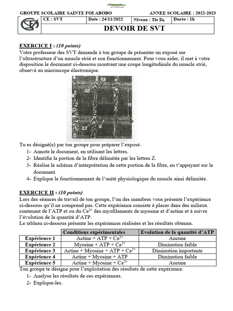 Devoir SVT TD | PDF