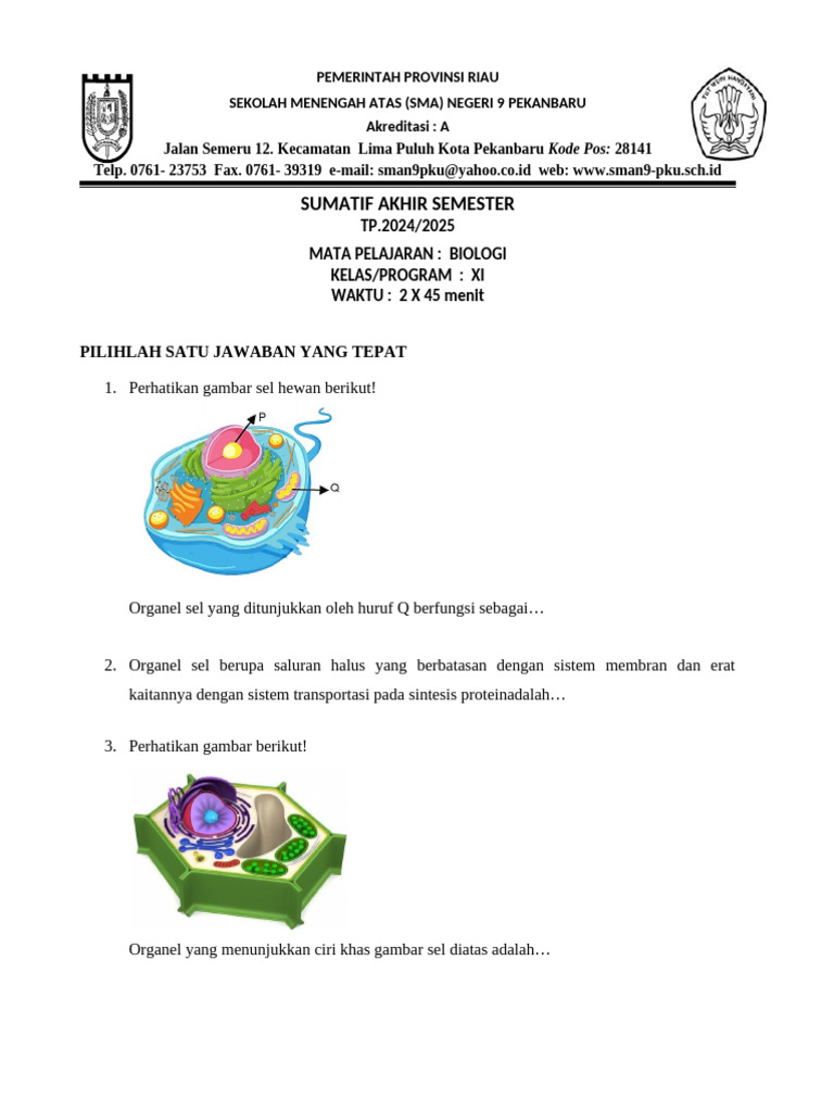 Kisi Kisi Biologi | PDF