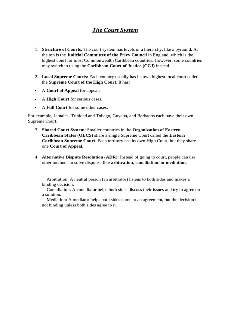 The Court System | PDF | Justice | Crime & Violence