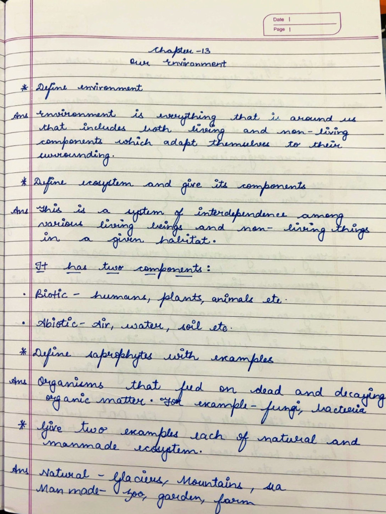 Our Environment Notes | PDF