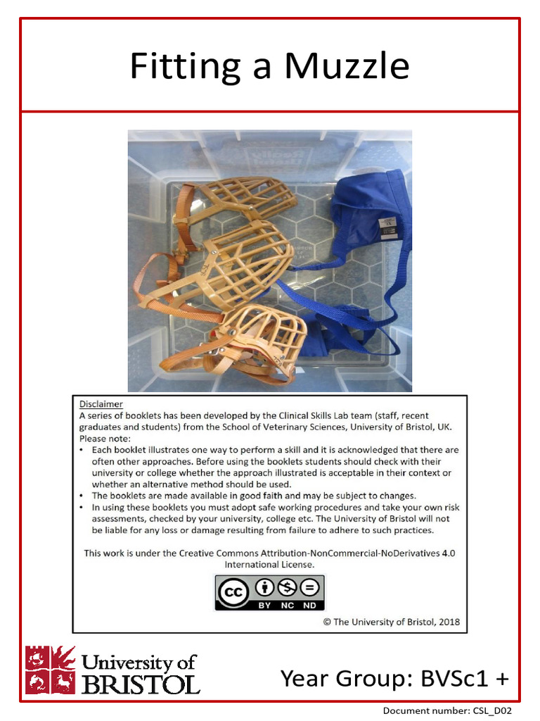 Fitting a Muzzle | PDF | Dogs | Dog Breeds