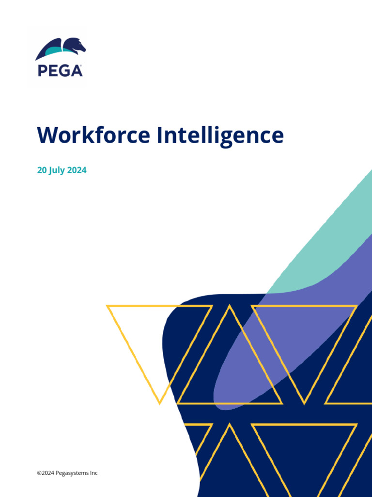2.workforce Intelligence 2024-07-20 | PDF | Computing | Software