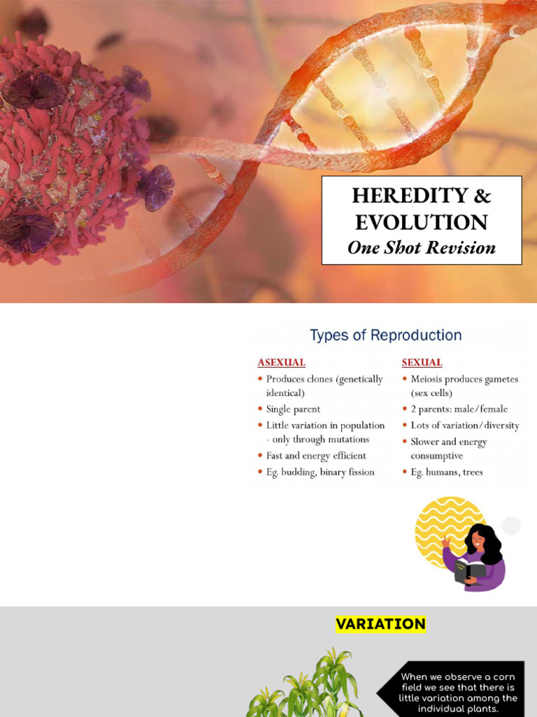 Heredity and Evolution One Shot Revision | PDF | Dominance (Genetics ...