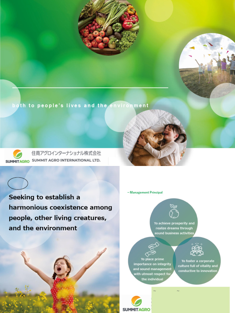 Company Brochure 202409 en | PDF | Agriculture