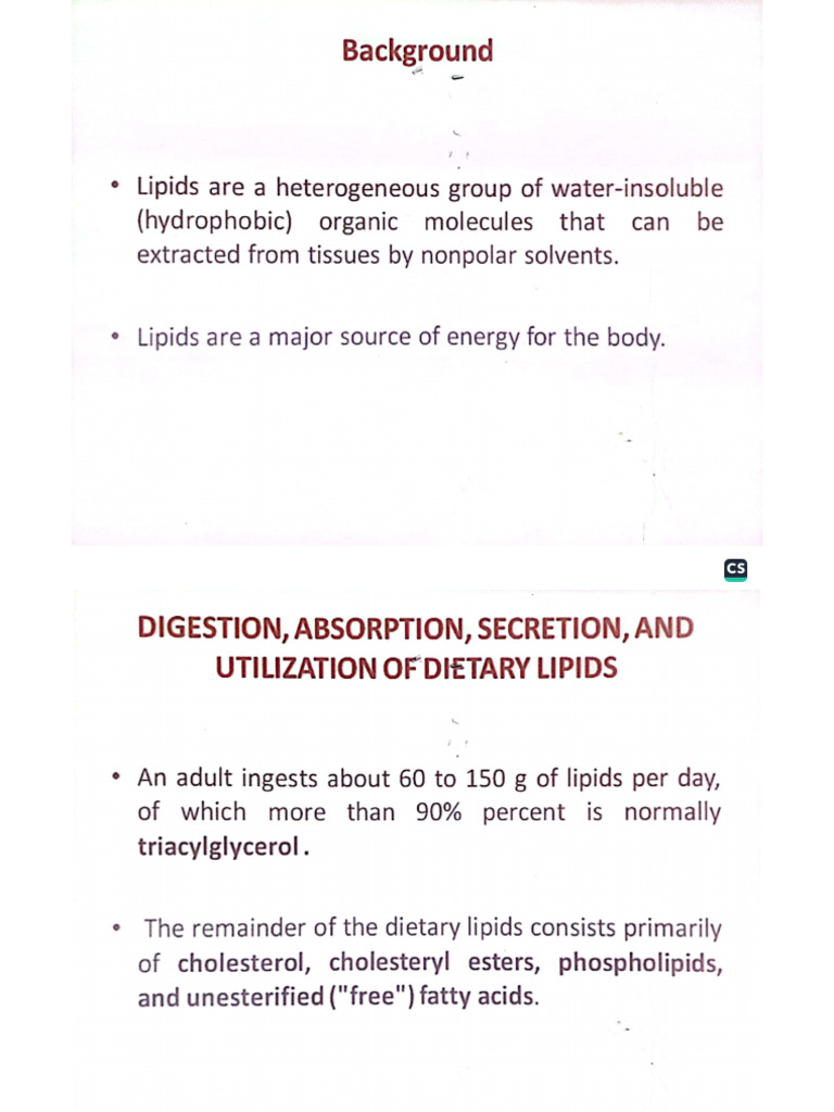Digestion and Absorption of Lipid | PDF