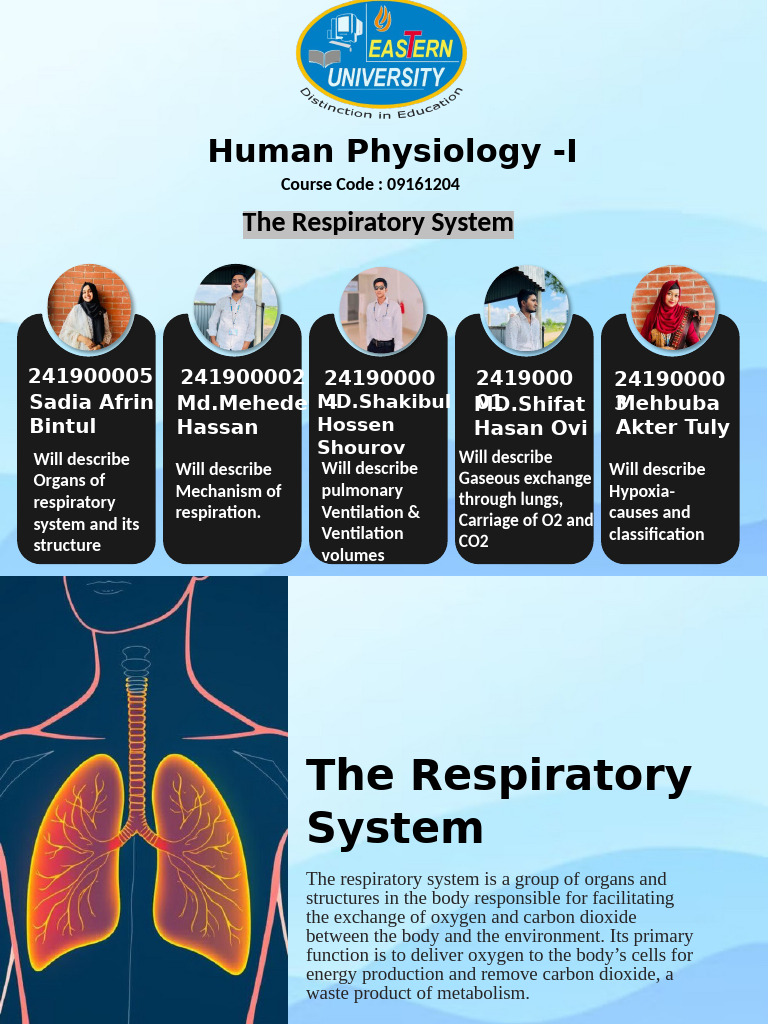 The Respiratory System Presentation Group 1 | PDF | Breathing | Exhalation