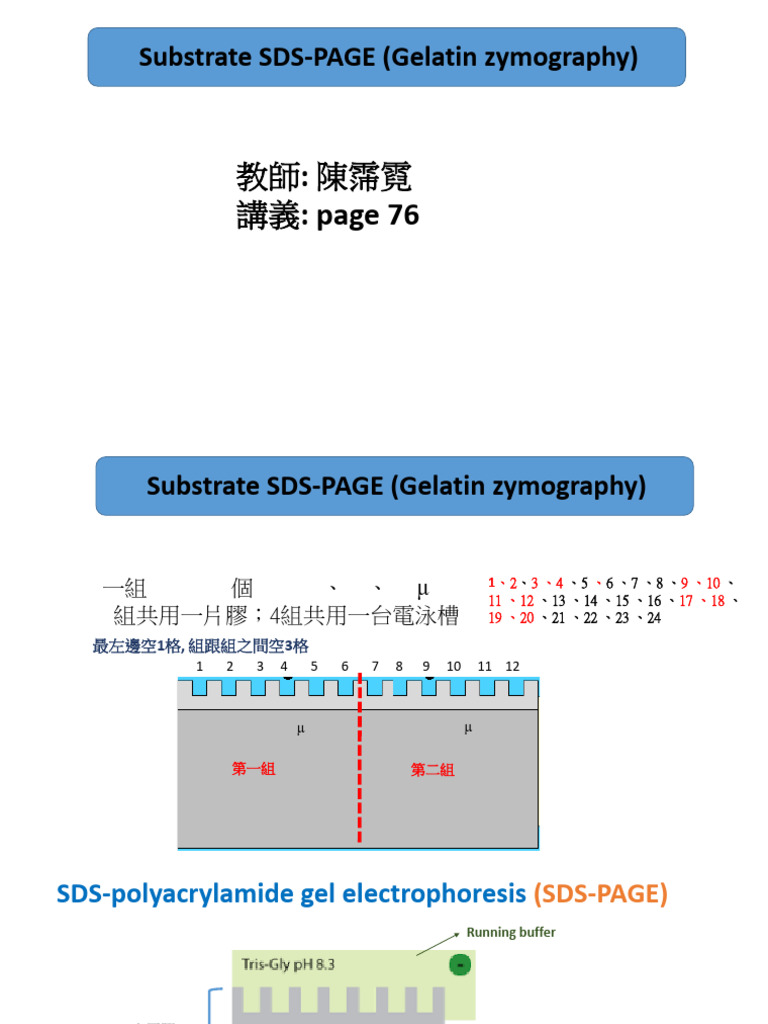 substract SDS-PAGE | PDF