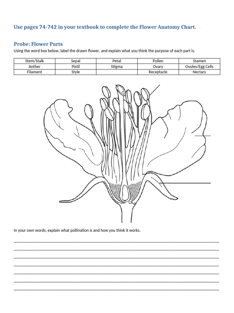 Flower Parts Labeling Edited | PDF