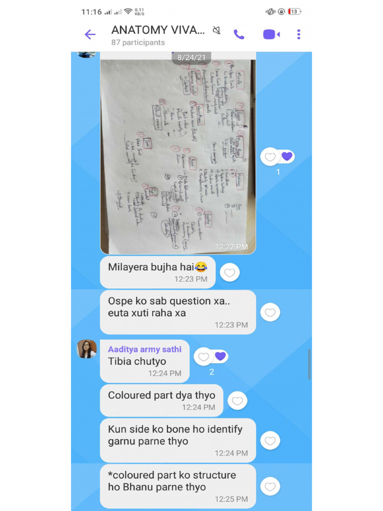 Anatomy practical viva by Ajay | PDF