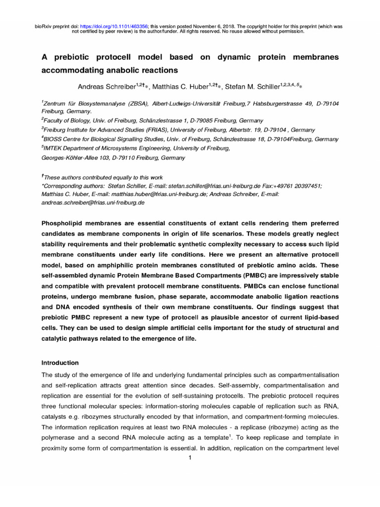 A Prebiotic Protocell Model Based On Dynamic Protein Membranes Accommodating Anabolic Reactions ...