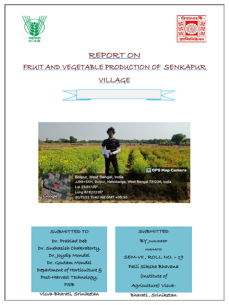 HORTICULTURE REPORT | PDF | Agriculture | Vegetables