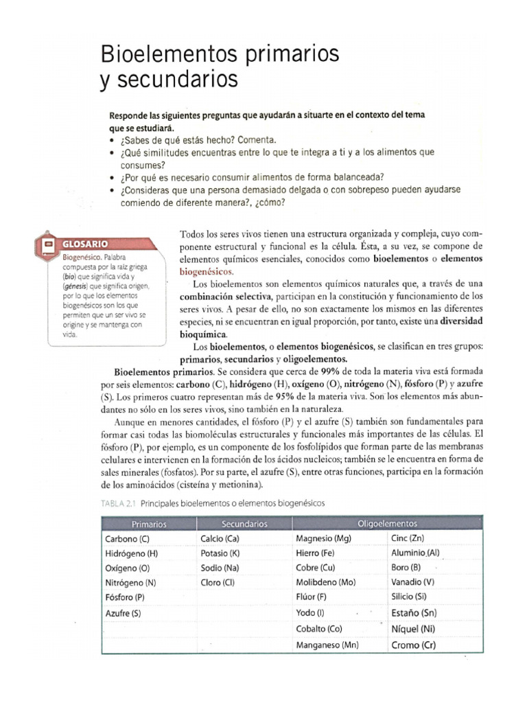 Bio Elementos | PDF