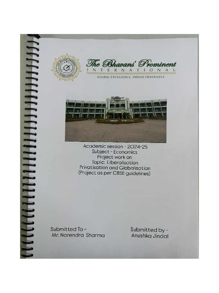 Economics Project Class 12 | PDF