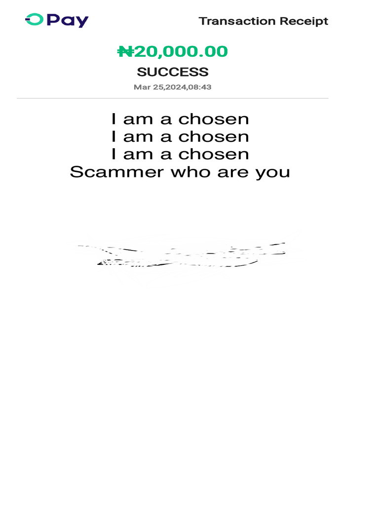 Successful ₦20,000 OPay Transfer Receipt | PDF