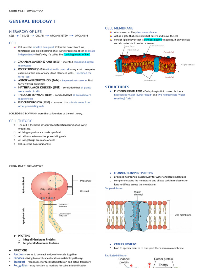 General Biology I Reviewer | PDF | Mitosis | Cell Membrane