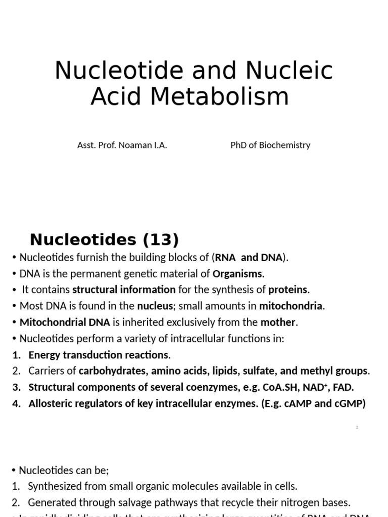Nucleotide and Nucleic Acid Metabolism | PDF | Nucleotides | Biosynthesis