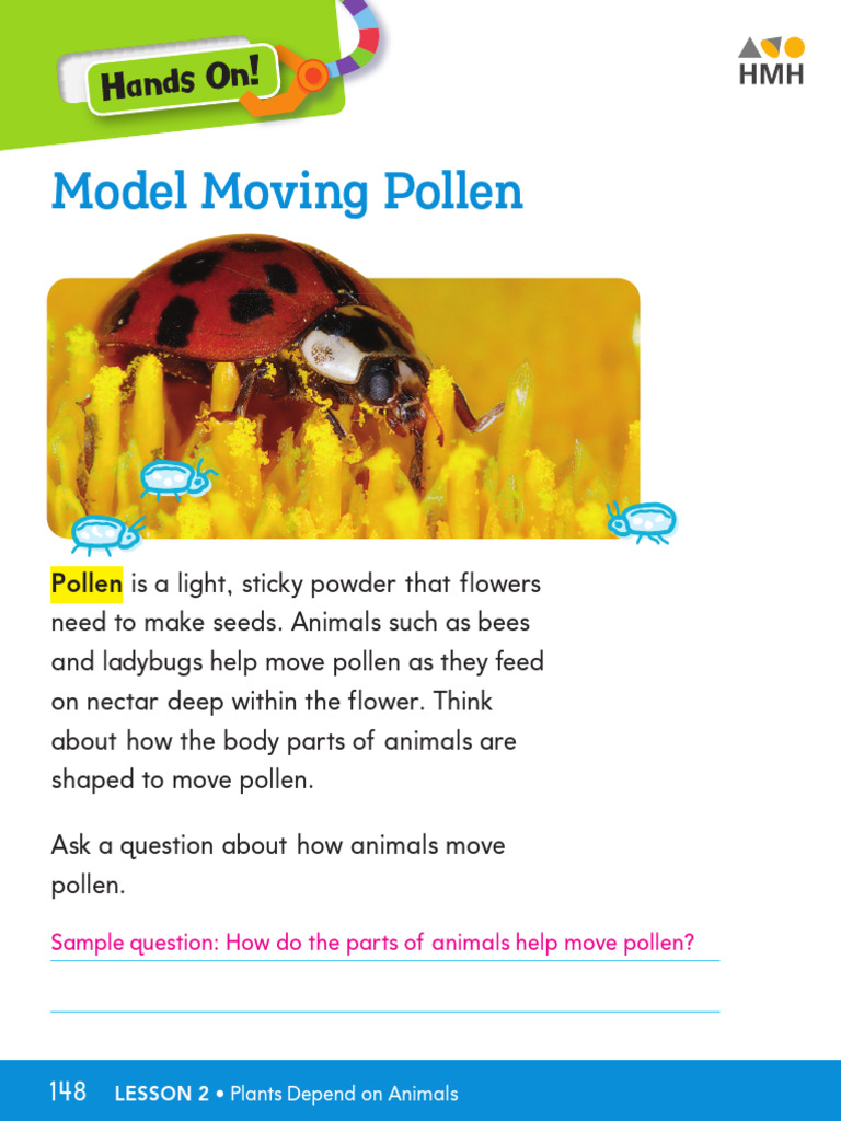 Into Science Grade 2 Hands On Activity Model Moving Pollen Teacher ...