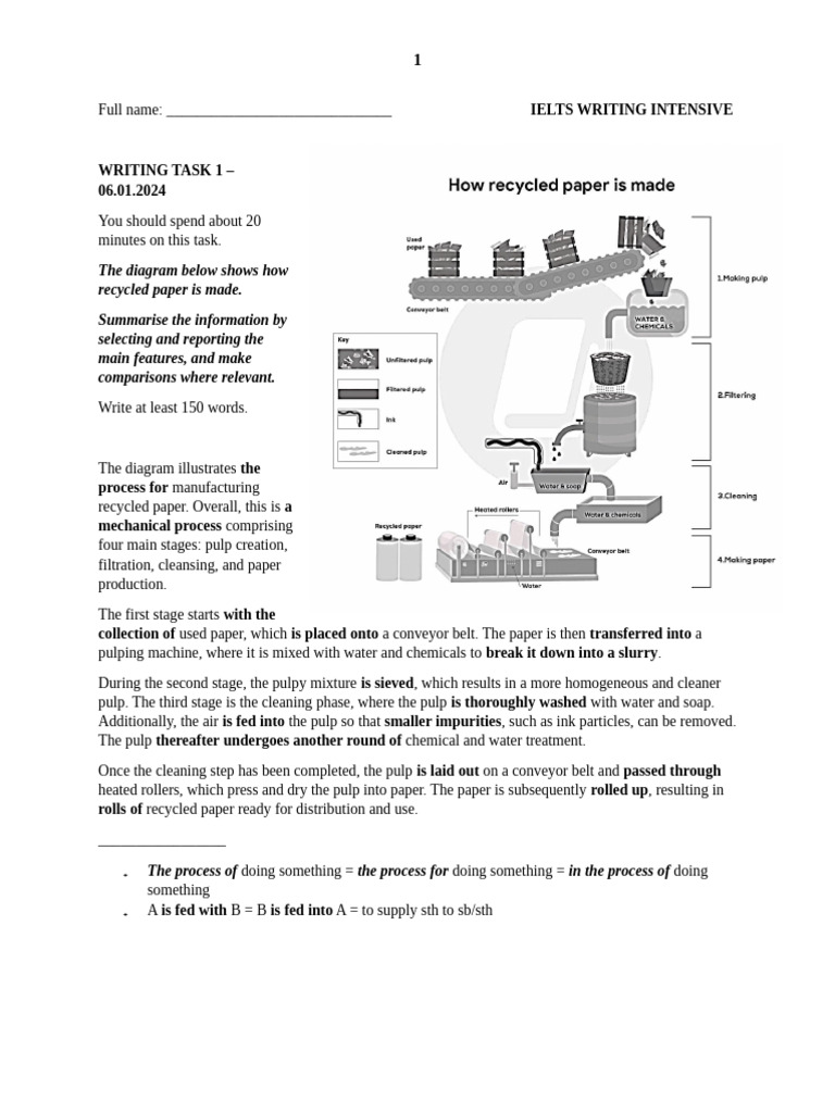 Sample Essay - 1 January 2024 | PDF | Extinction | Paper