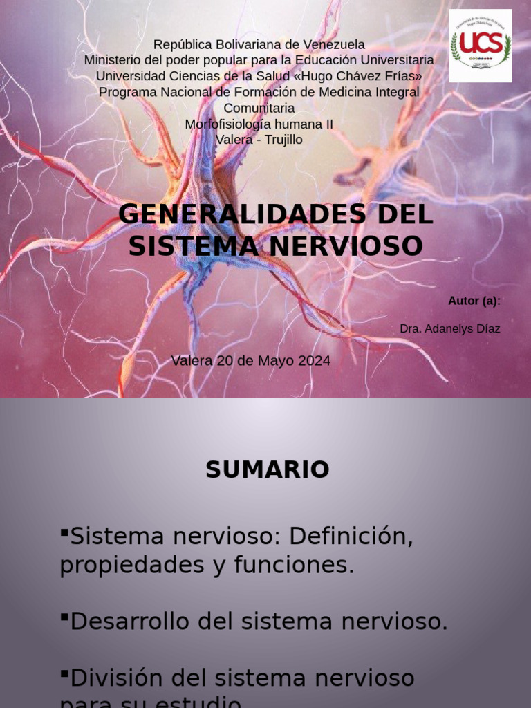 Clase 1 Morfo 2 | PDF | Sistema nervioso | Cerebro