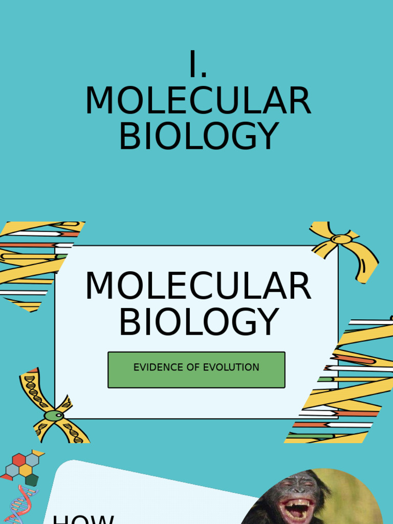 molecular biology evolutionary evidence | PDF | Base Pair | Natural ...
