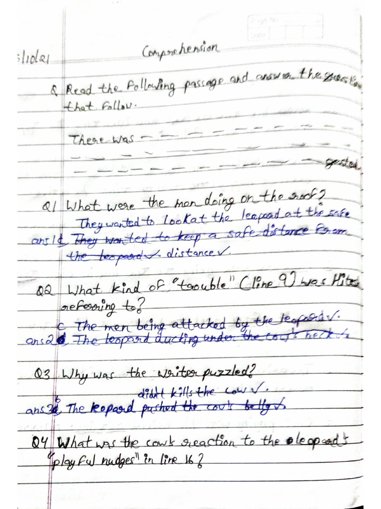 English Comprehension Test | PDF