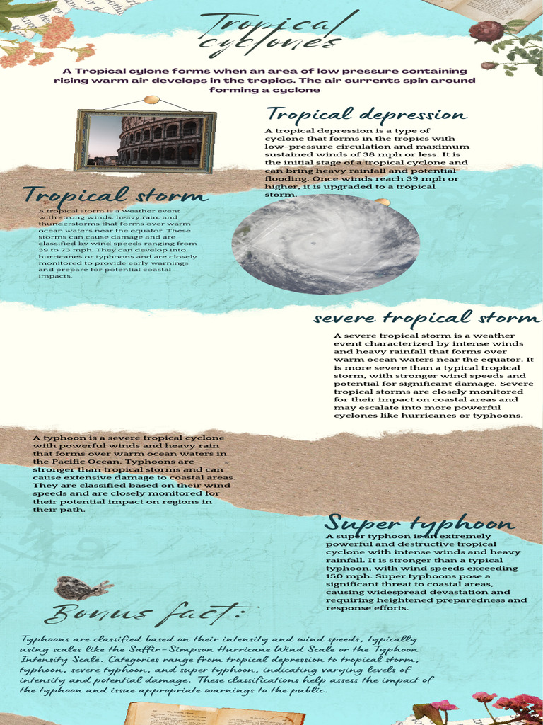 Brown Scrapbook Museum of History Infographic - 20241208 - 164305 ...