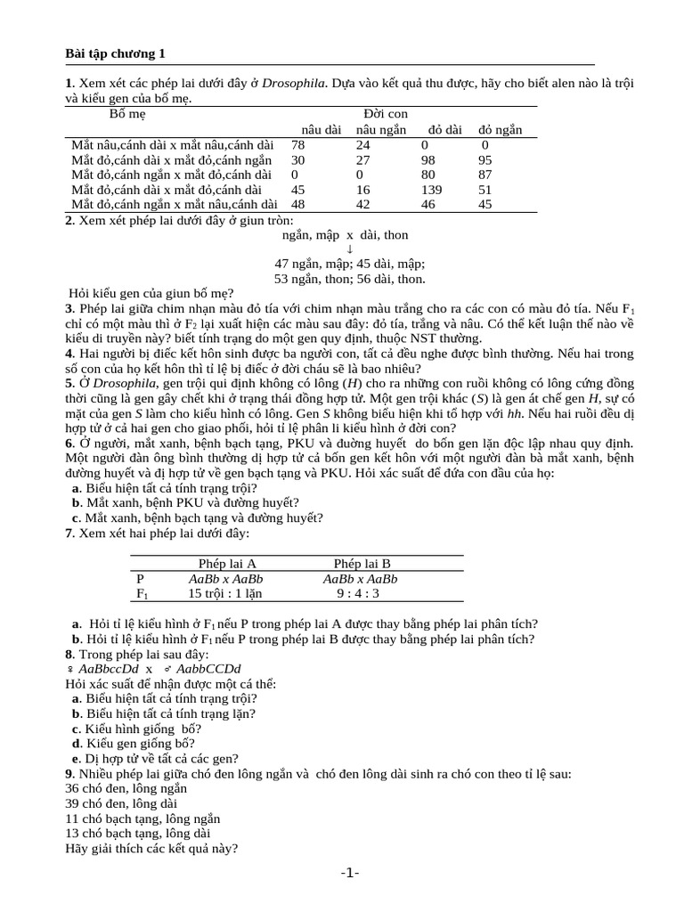 Bai Tap DT-dich | PDF