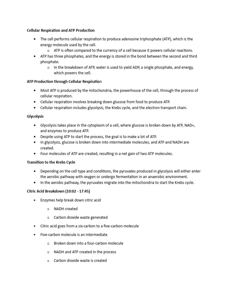 Cellular Respiration and ATP Production | PDF | Cellular Respiration ...
