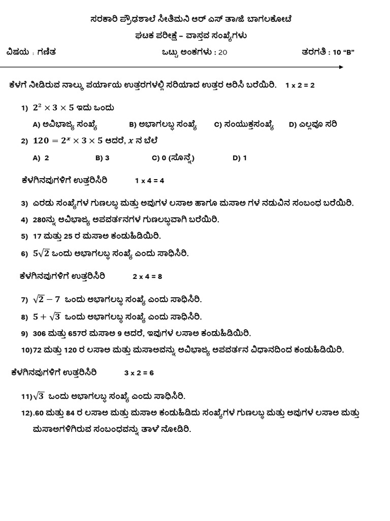 Real Number Unit Test 2024-25 20 Mark | PDF