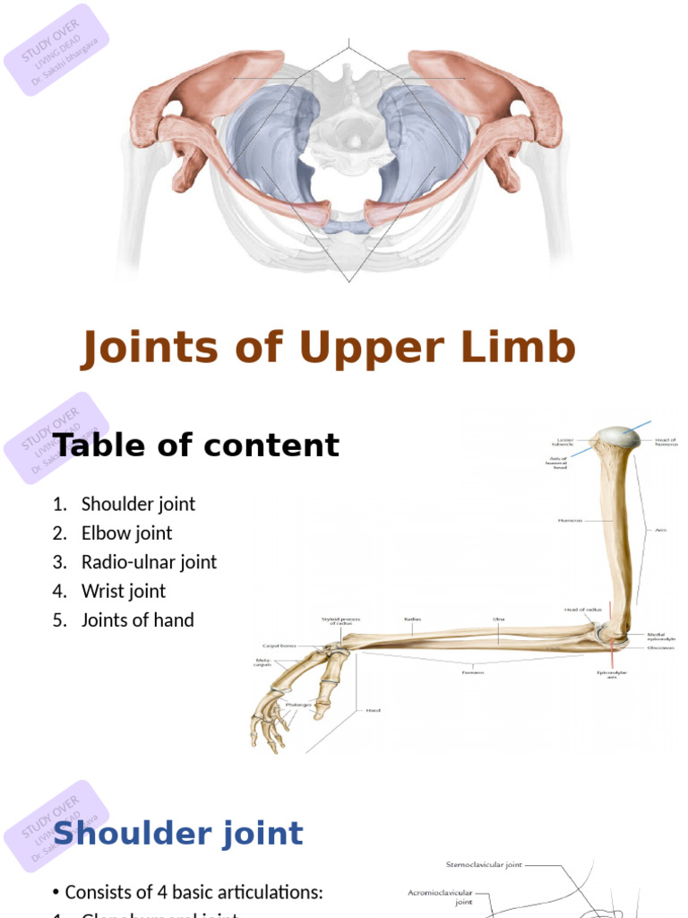 Shoulder Joint | PDF