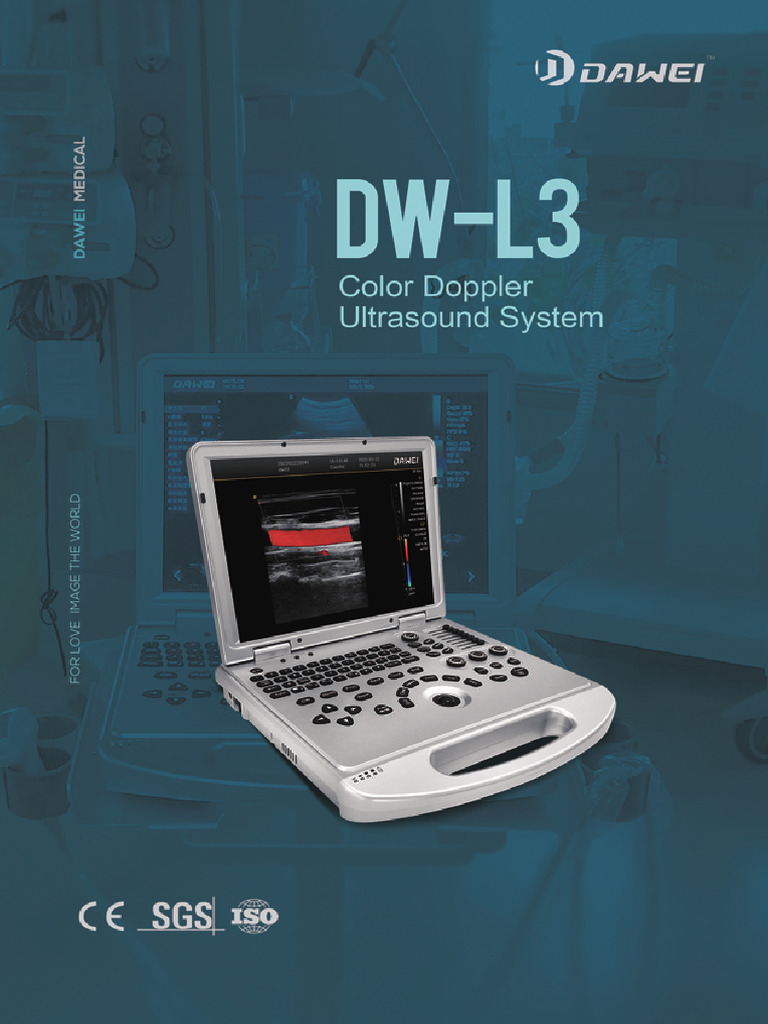 Brochure of DW-L3 (Silver Color) | PDF