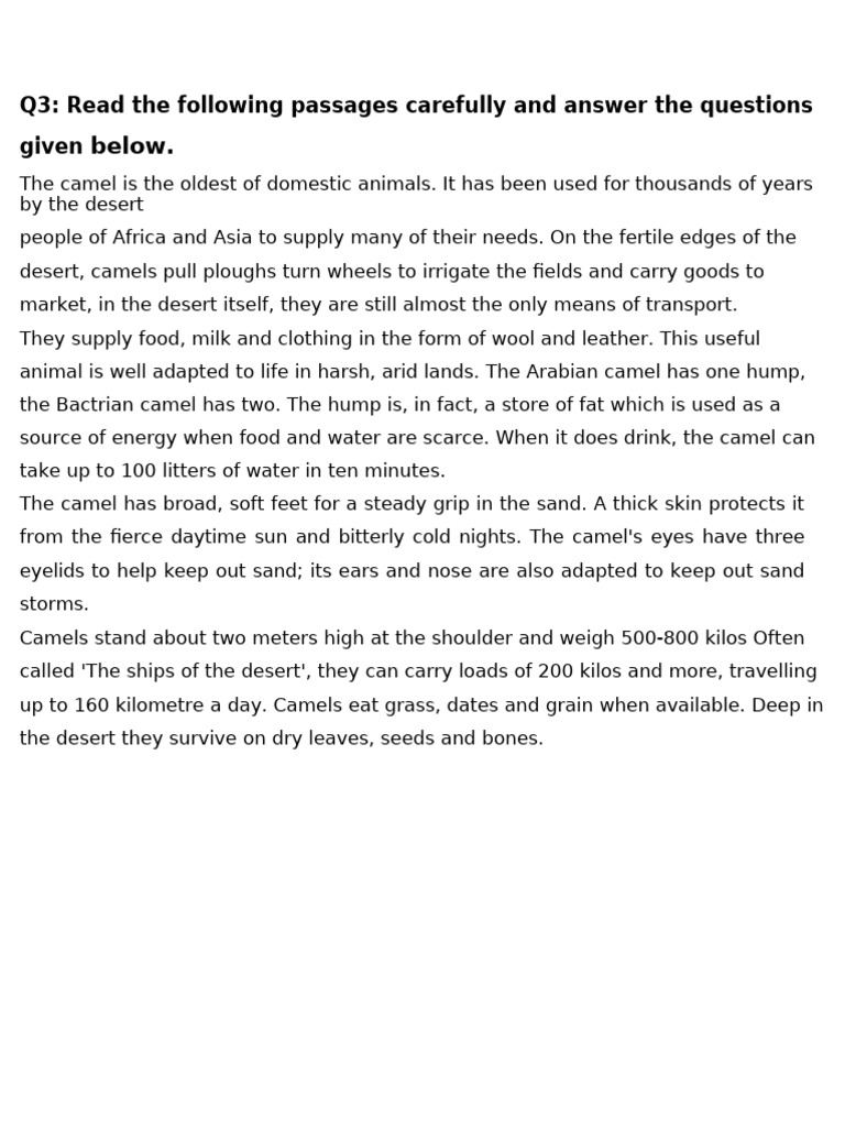 Unseen Passage Worksheet 3 GR 4 | PDF