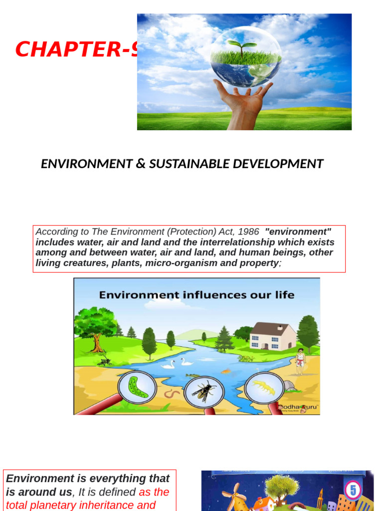 Environment & Sustainable Development | PDF | Natural Environment | Soil