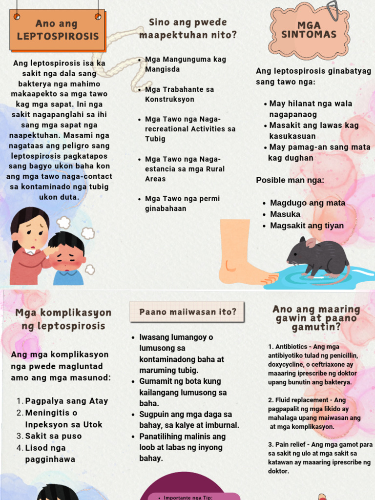 Leptos-PAMPHLET | PDF