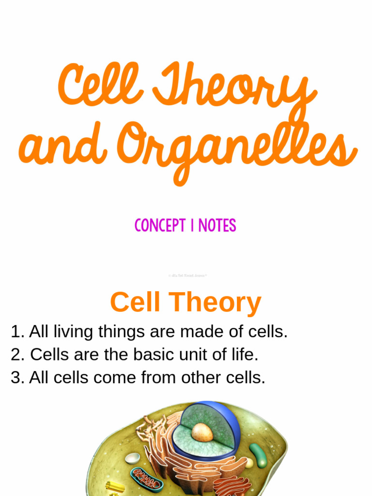 Concept+1+Notes+ +Cell+Theory+and+Organelles | PDF | Cell (Biology ...