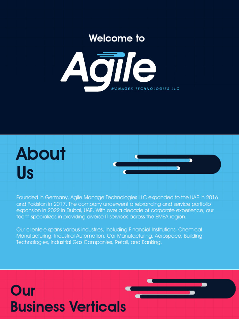 Cybersecurity Profile - Agile Managex Tecnologies LLC | PDF | Security | Computer Security