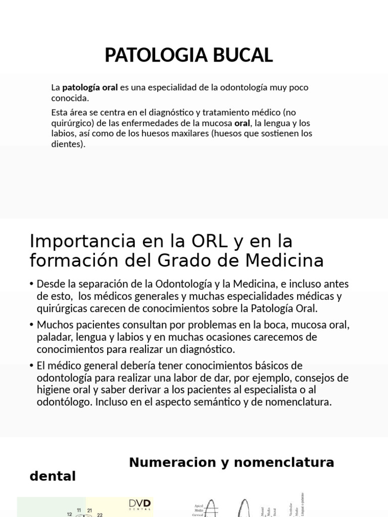 Seminario de PATOLOGIA BUCAL | PDF | Odontología | Especialidades Medicas