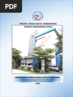 Profil Rsud Prof - Dr.w.z.johannes Kupang Tahun 2022 | PDF