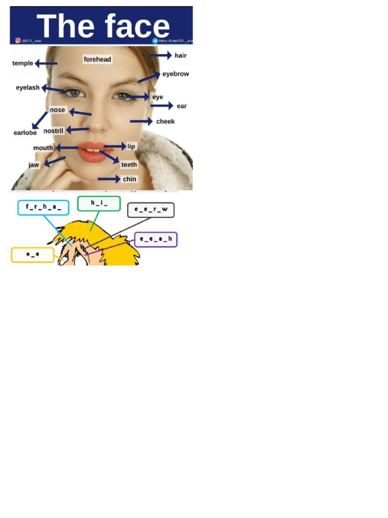 Face and Whose | PDF