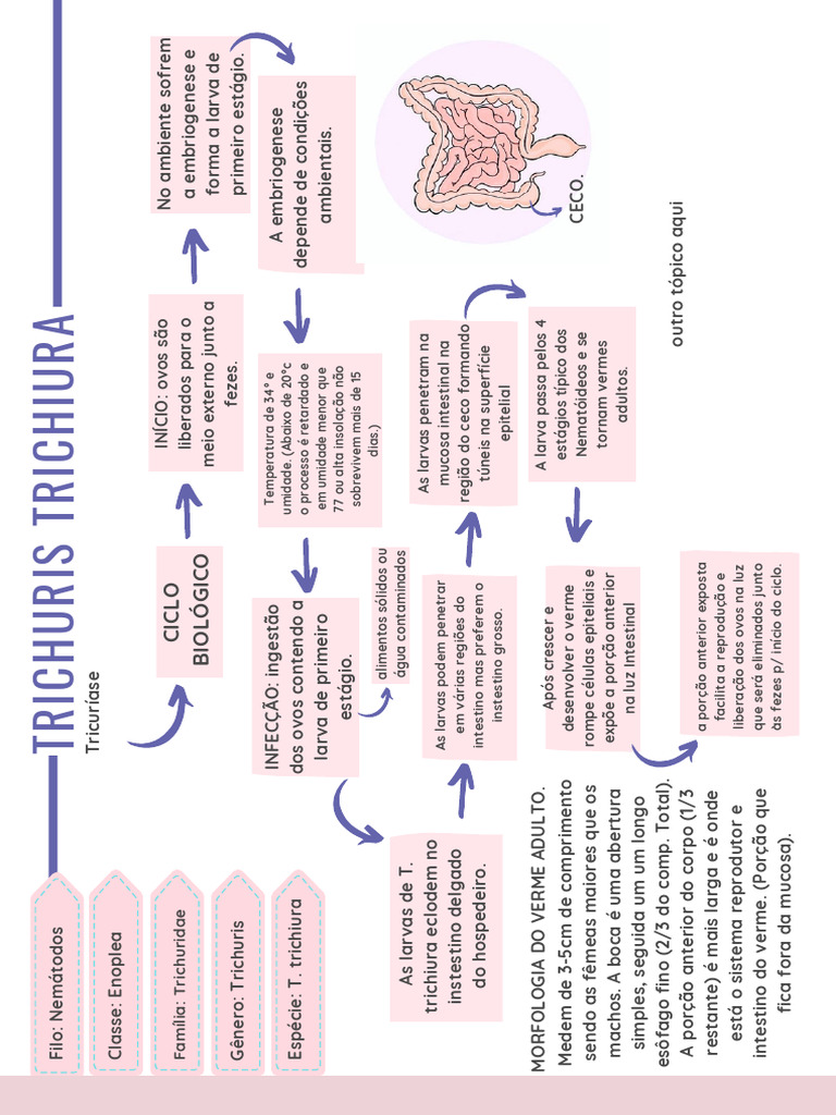 Mapa Mental TRICHURIS TRICHIURA | PDF