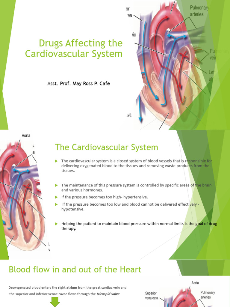 Cardiovascular Drugs Overview Pdf Heart Valve Hypertension