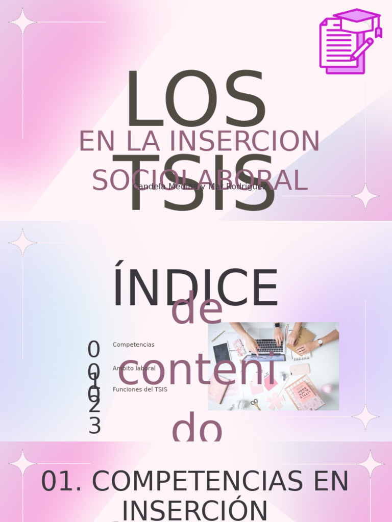 Funciones y Competencias del TSIS | PDF | Business