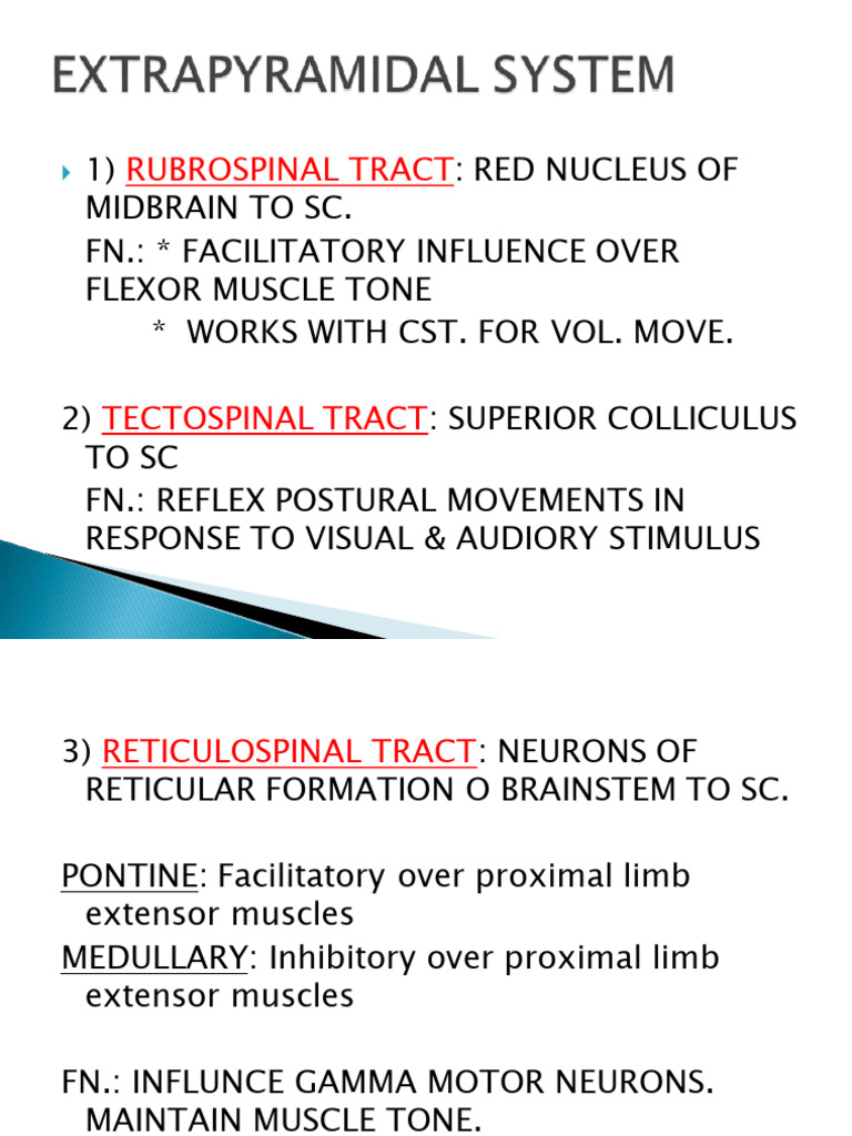 Extra pyramidal system | PDF