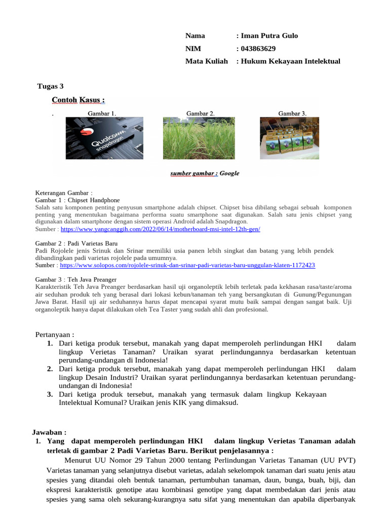Tugas 3 Hki Iman Putra Gulo-2 | PDF