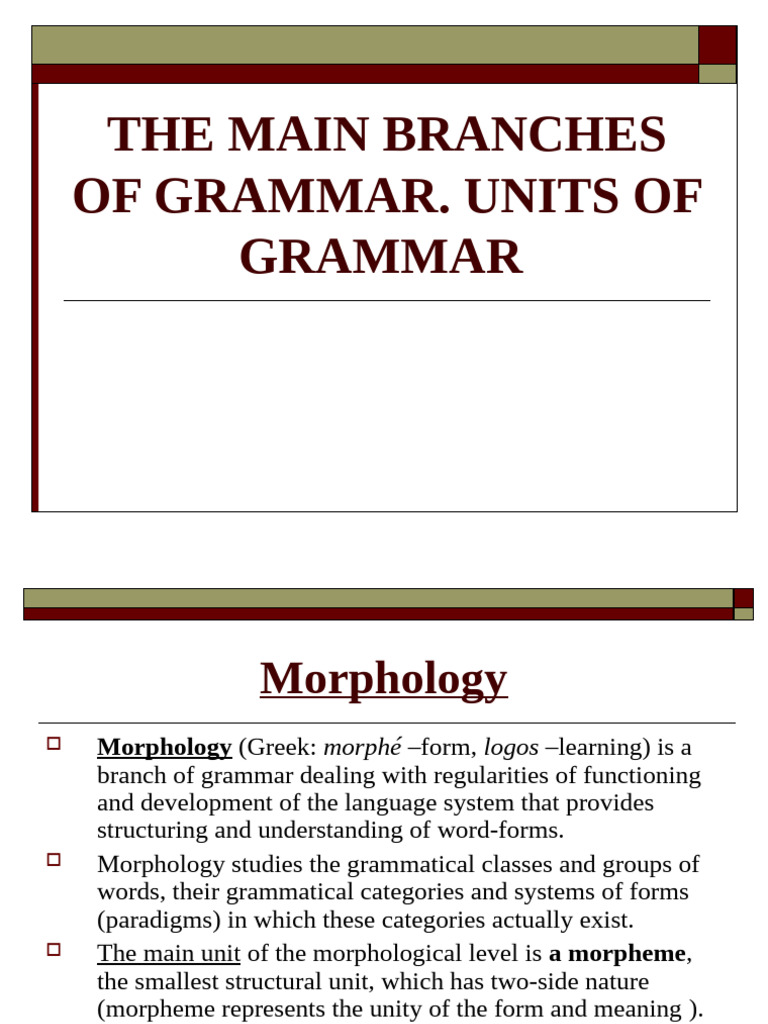 The Main Branches of Grammar | PDF | Morphology (Linguistics) | Word