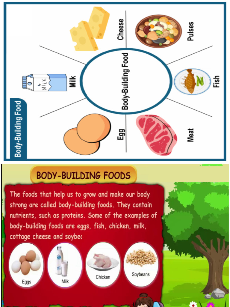 BODY BUILDING FOODS_084142 | PDF