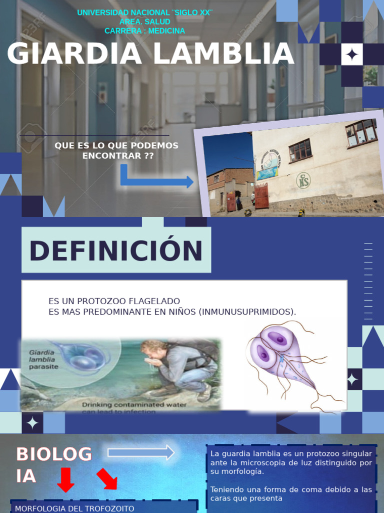 GIARDIAA | PDF | Anticuerpo | Especialidades Medicas